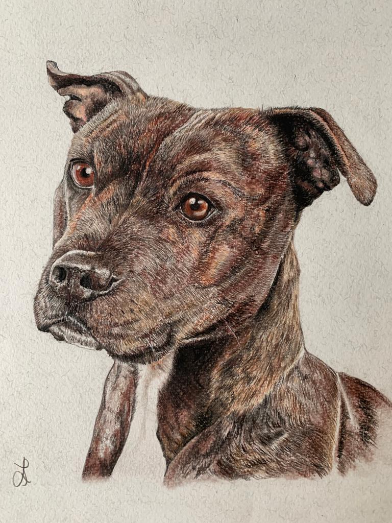 Lily - Portraits by Leigh
