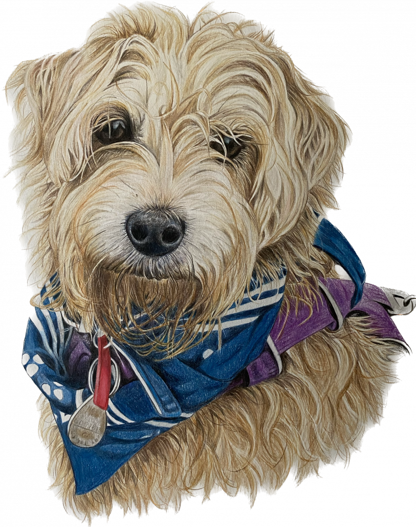 Portraits by Leigh | Bespoke Animal & Pet Portraits