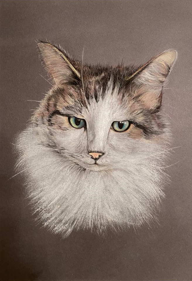 Saffy - Portraits by Leigh